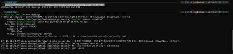 Bug ： Geting Current User Failed · Issue 575 · Jeessy2ddns Go · Github