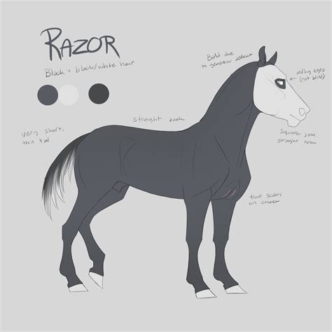 Razor Reference By Siivr On Deviantart