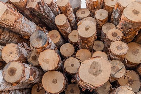 나무 통나무 더미 산업용 목재 보관 쓰러진 나무 줄기 장작 나무 트렁크 로그를 쌓아 준비 산업 생산을 위한 삼림 벌채 0명에 대한 스톡 사진 및 기타 이미지 Istock