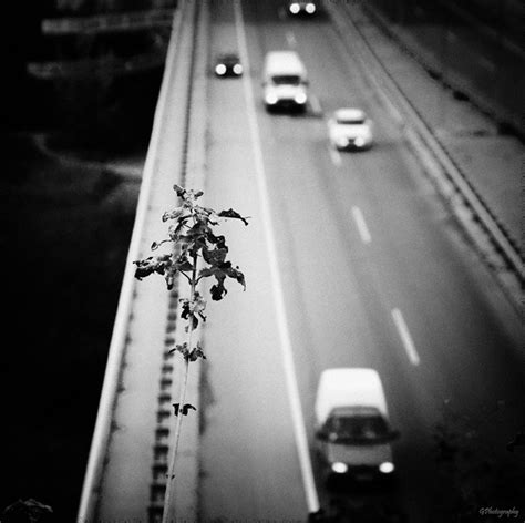 The Day Before Yesterday Behance