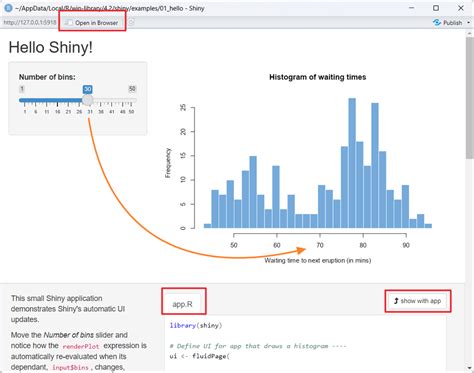 R Shiny Introduction
