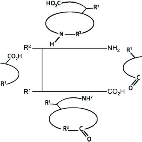 Siclopps For Macrocyclic Peptide Synthesis And Discovery A Schematic Download Scientific