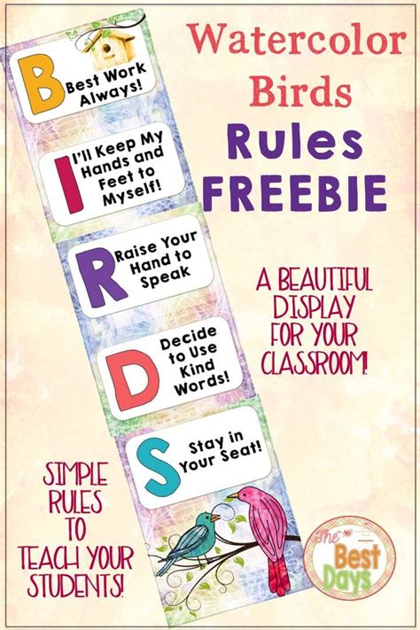 Bird Theme Classroom Decor Bundle Watercolor Bird Themed Bird