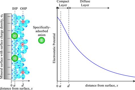 Schematic Representation Of A Structure Of The Electrical Double Layer