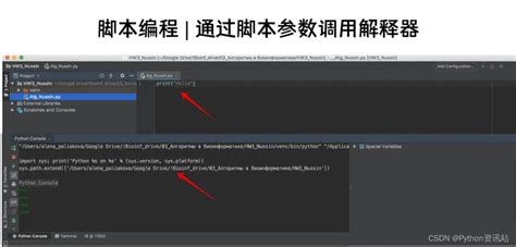 图解python基础语法，没有多余废话，手把手教会你最简单的运用！小白新手必看！python简单的使用 Csdn博客