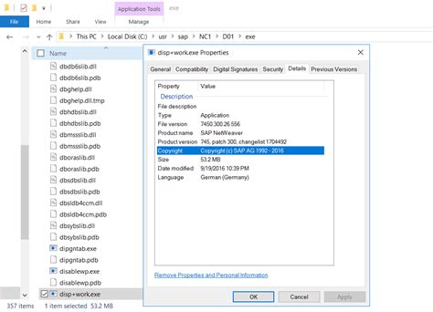 7 methods to retrieve the version of sap executables 2025