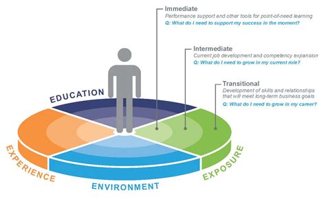 Continuous Learning Model TTI Success Insights Ireland