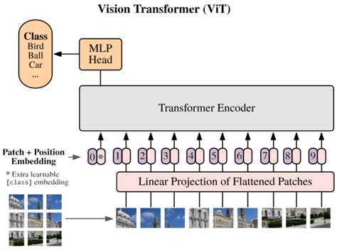 논문 리뷰 Xmodel Vlm A Simple Baseline For Multimodal Vision Language Model