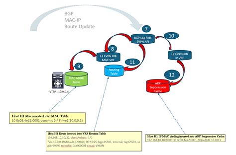 Bgp Evpn Vxlan Lab Part 2 Bgp Evpn Control Plane And Route Advertisement