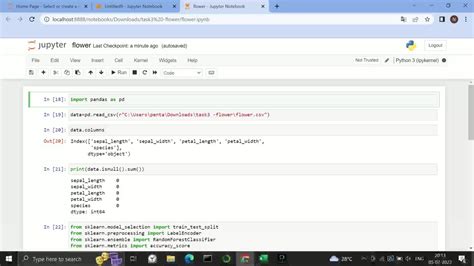 Jaya Sai Srikar On Linkedin Codsoft Internship Datascience