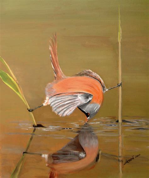 O Clever Bird Photograph By Clement Tsang Fine Art America