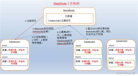 Hadoophdfs Datanode架构hdfs Datanode Csdn博客