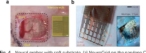 Figure 4 From Flexible Fiber Based Optoelectronics For Neural