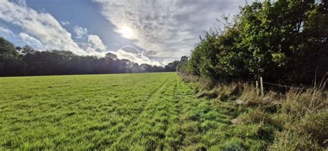 Jonathan Cranfield On Linkedin Ecology Wildlifesurvey Reptileresearch