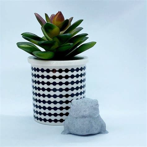 Zelda Botw Frog Statuezelda Cosplayzelda Propszelda Tzelda Gamegamer Tvideo Game Zelda Botw Frog Statuezelda Cosplayzelda Propszelda Tzelda Gamegamer Tvideo Game