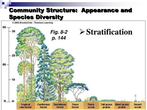 Ppt Community Ecology Powerpoint Presentation Free Download Id 655239