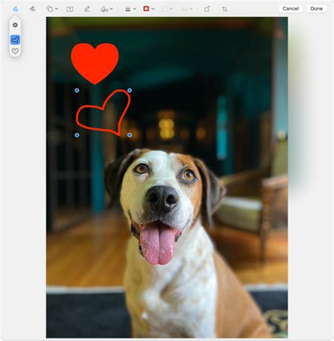 TextEdit User Guide For Mac Apple Support