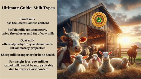 Ultimate Guide To Milk Types Buffalo Cow Goat Sheep And Camel Milk