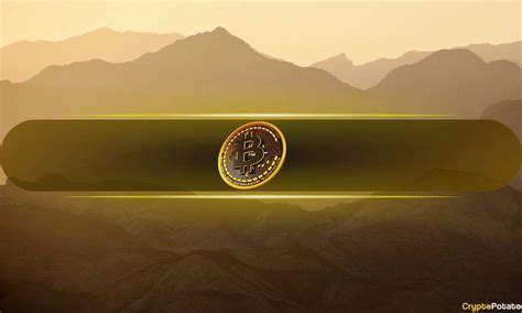 These Bitcoin L2 Solutions Could Drive Institutional Adoption Report