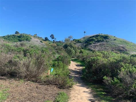 Rose Canyon Hiking Park All You Should Know Before Going 2026 With