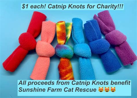 Catnip Pillows Set Of 2 Catnip Toys Cat Toys Catnip Pillow Etsy