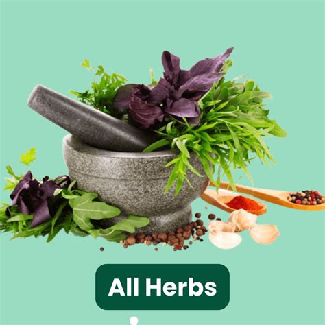 All Herbs Herbolife