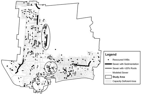 Field Investigation Model At Ilene Haase Blog