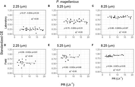 7 P Magellanicus Capture Efficiency Ce Measured In Relation To