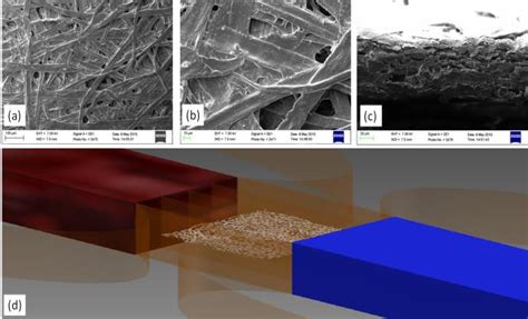 Scanning Electron Micrographs Of The Topology Of The Paper As Coated