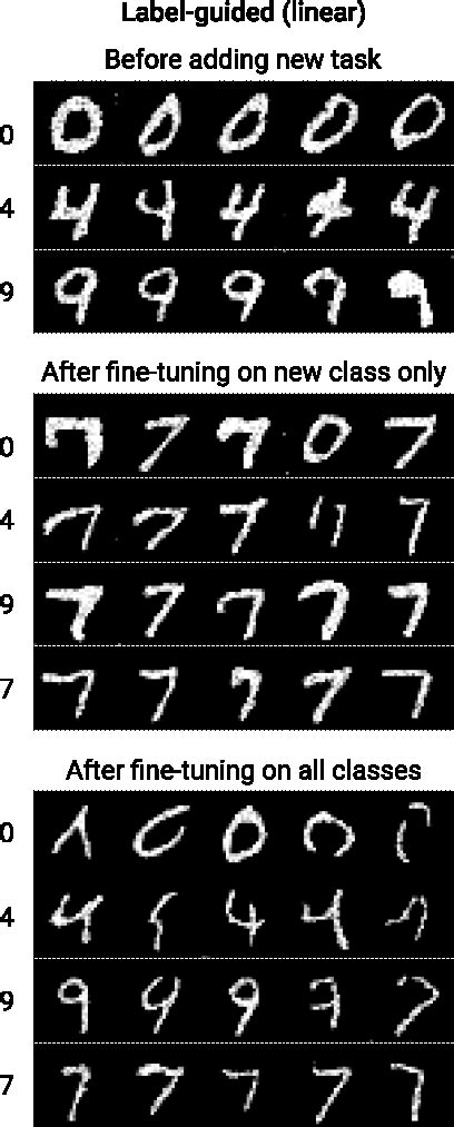 Fine Tuning Linear Diffusion Models On New Classes Whereas Branched