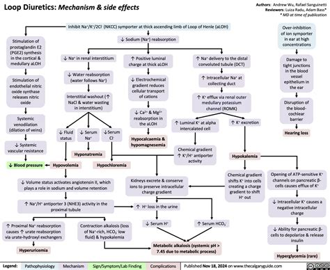 Loop Diuretics Calgary Guide