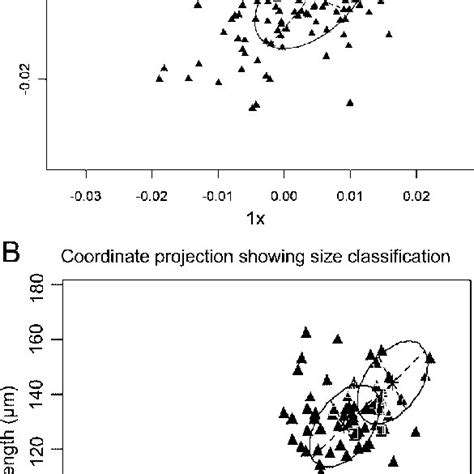 Shape Change As A Function Of Size Showing Changes Associated With Download Scientific Diagram