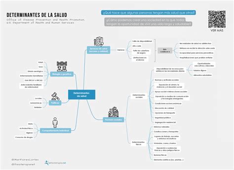Ejemplos De Determinantes De La Salud Que Influyen En Tu Bienestar