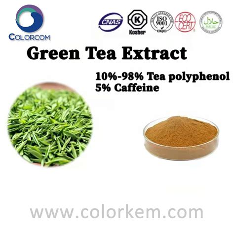 China Green Tea Extract 10 98 Tea Polyphenol 5 Caffeine Manufacturer