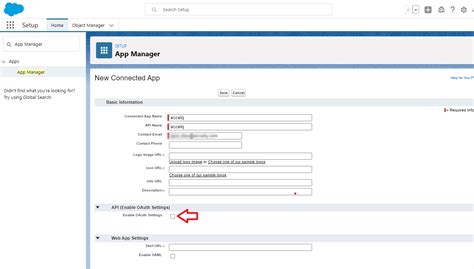 Pre Requisite Setup To Enable Api Access In Salesforce Accelq