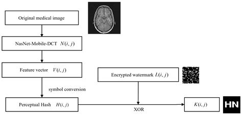 Electronics Free Full Text Robust Zero Watermarking Algorithm For Medical Images Based On