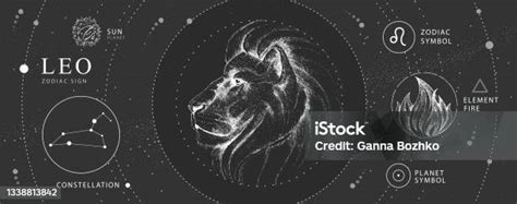 점성술 레오 조디악 기호현대 마법 마술 카드 현실적인 손 그리기 사자 머리 조디악 특성 별자리에 대한 스톡 벡터 아트 및 기타