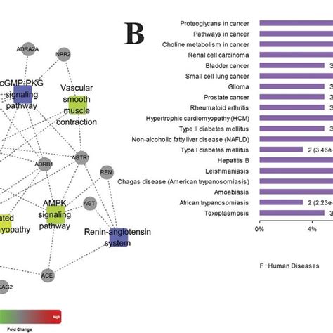 A The Target Pathway Network By String Database B The Enrichment Download Scientific