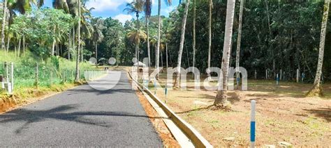 නිට්ටඹුව නගරයෙන් වටිනා බිම් කොටස් විකිණීමට N 80 Ikman