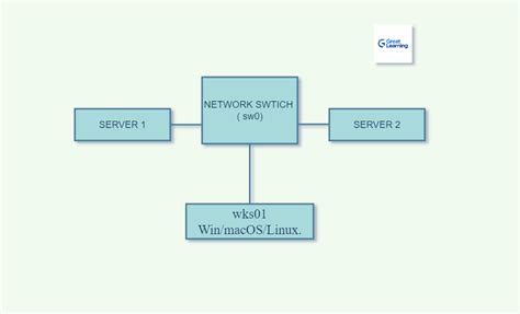Top 8 Nmap Commands You Should Know In 2024 Great Learning