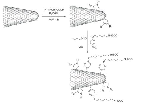 Scheme 8 Microwave Assisted Synthesis Of Doubly Functionalized Cnhs Download Scientific Diagram