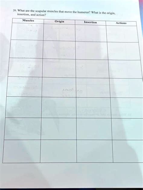 SOLVED 20 What Are The Scapular Muscles That Move The Humerus What