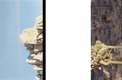 Silverfast 88 Issue Incomplete Scans Ranalogcommunity