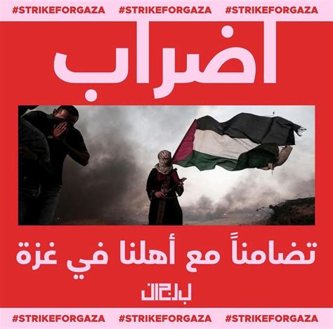 Mahmoud Zaki On Linkedin Strikeforgaza