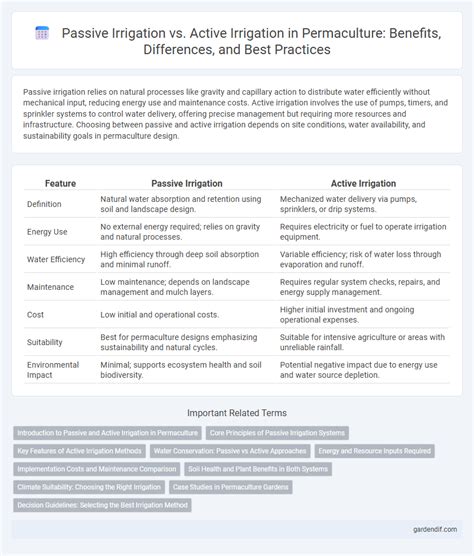 Passive Irrigation Vs Active Irrigation In Permaculture Benefits