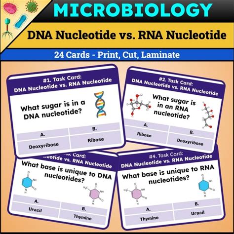 Microbiology Task Card Dna Nucleotide Vs Rna Nucleotide By Markimatics