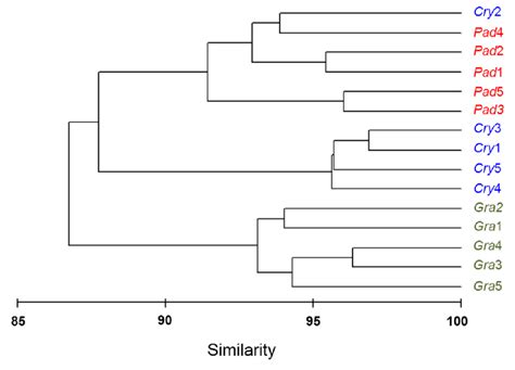 Euclidian Distance Cluster Analysis On Algal Attributes Between