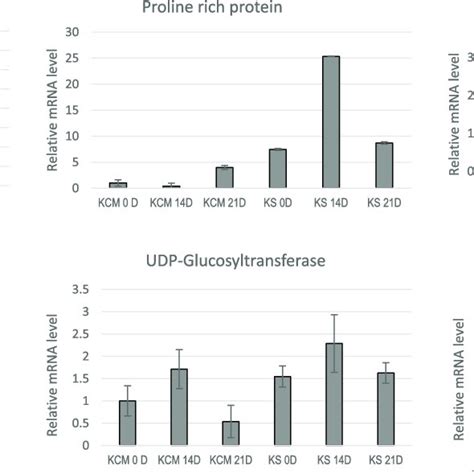 Validation Of Microarray Data By Rt Quantitative Real Time Pcr Leaf