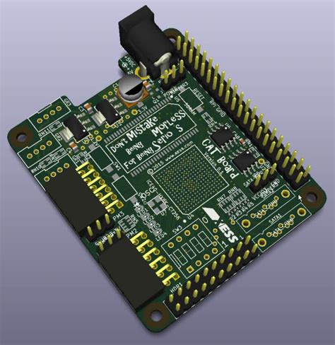 Cat для Fpga і Raspberry Pi