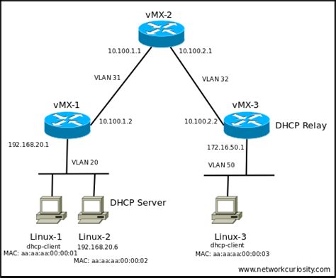 DHCP Network Curiosity